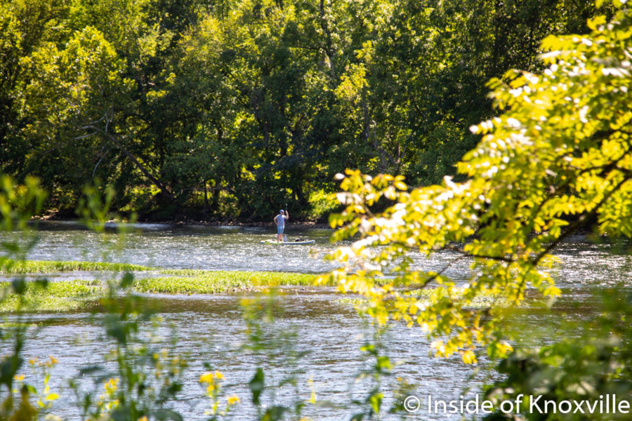 Seven Islands State Birding Park is a Great In-County Getaway | Inside ...