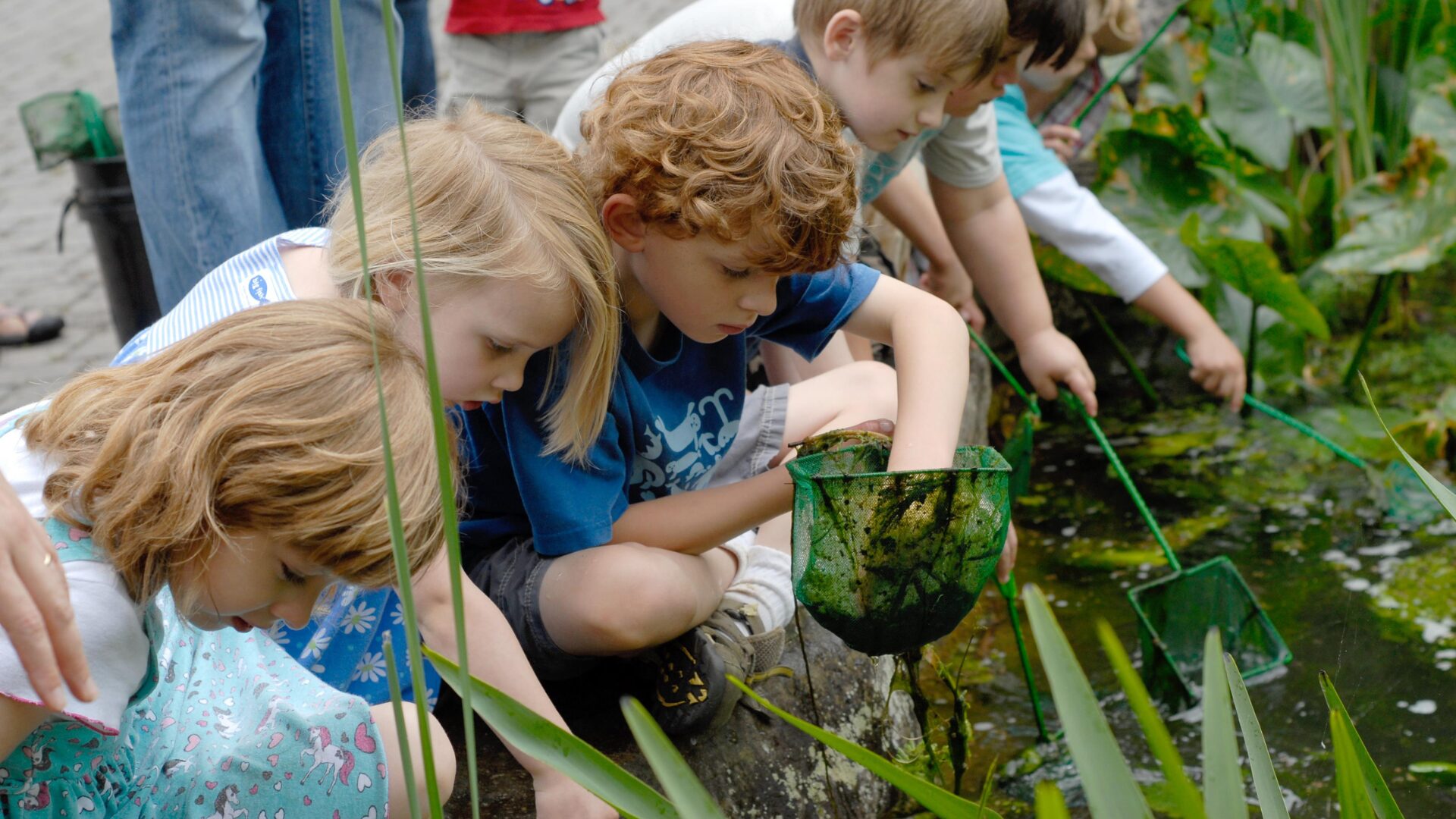 Ijams Nature Preschool Expands with Land Donation, Growing Outdoor ...